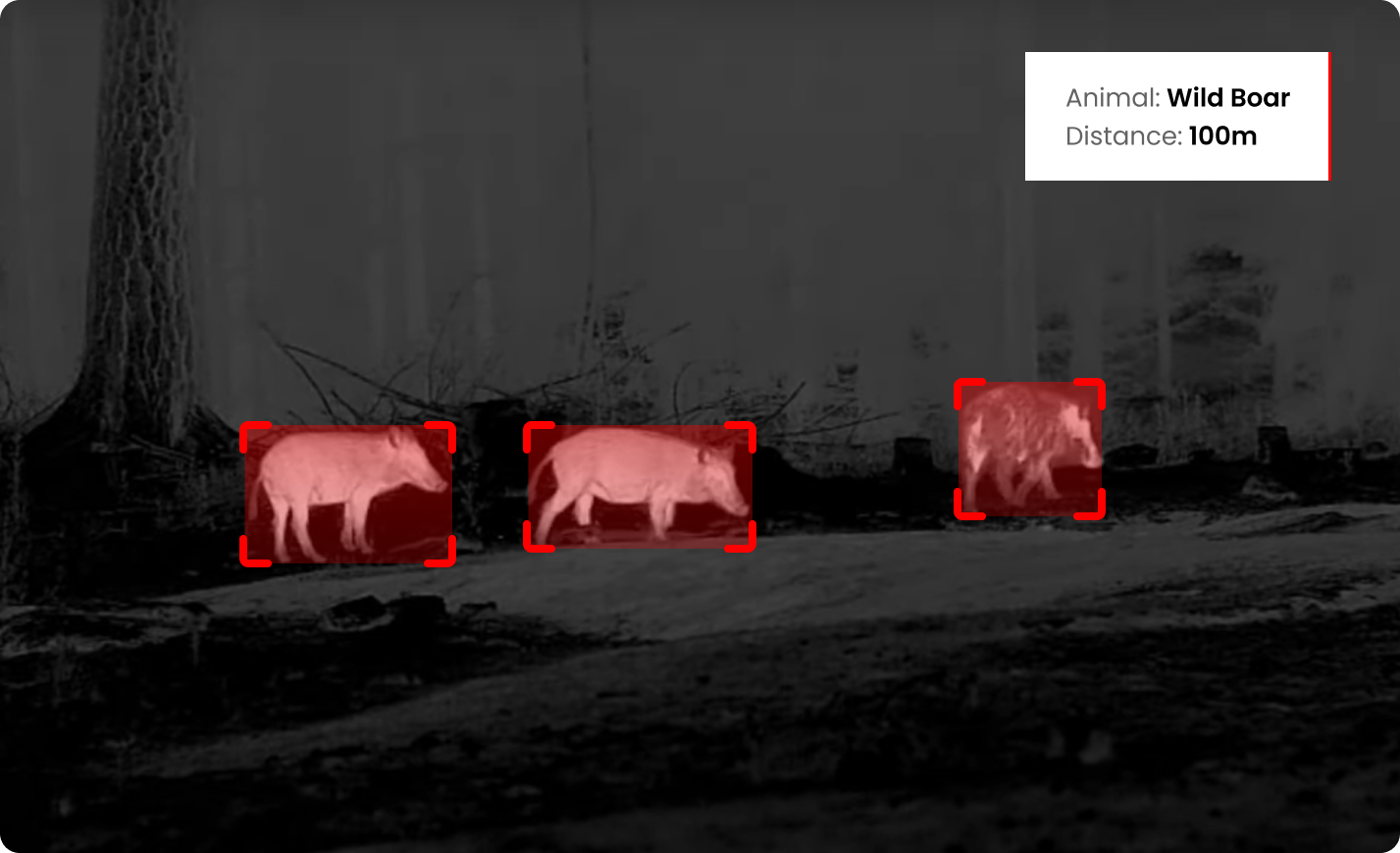 AI Services - AI Products - AI-ML Services | HC Robotics