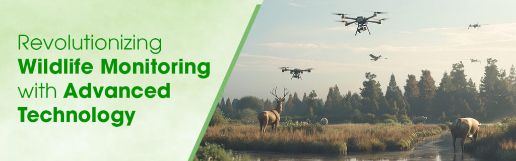 AI wildlife monitoring